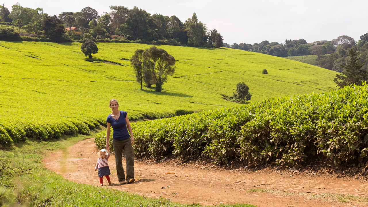 Heidi & KJ in the Tea Fields of Kenya - The Hauns in Africa