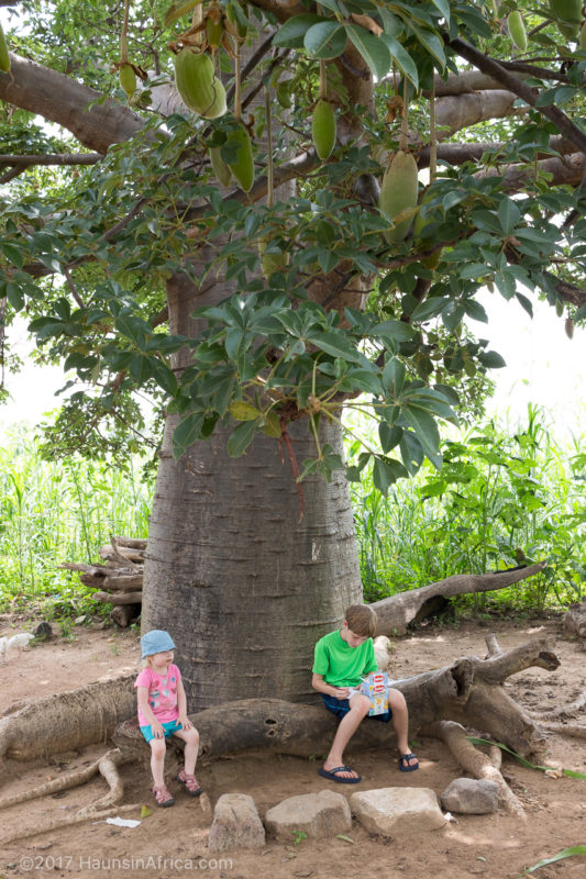 Sirigu Pottery & Arts Center - The Hauns in Africa