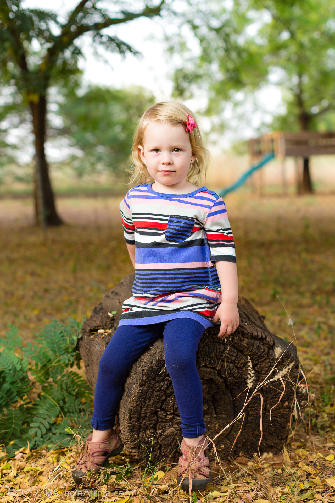 2017 Family Photo & Prayer Card - The Hauns in Africa
