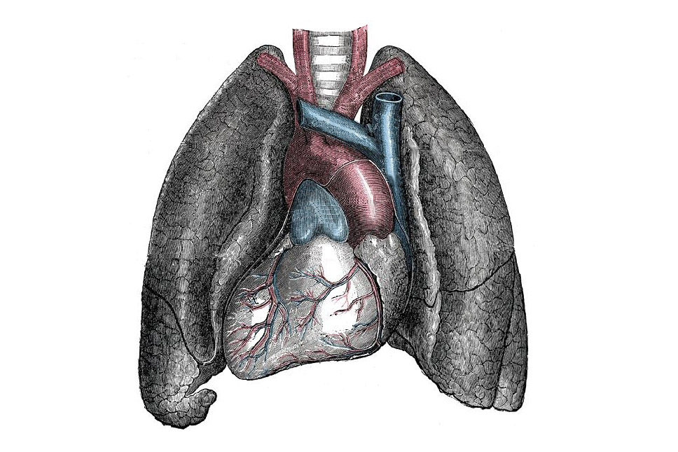 Situs Inversus Totalis - The Hauns in Africa
