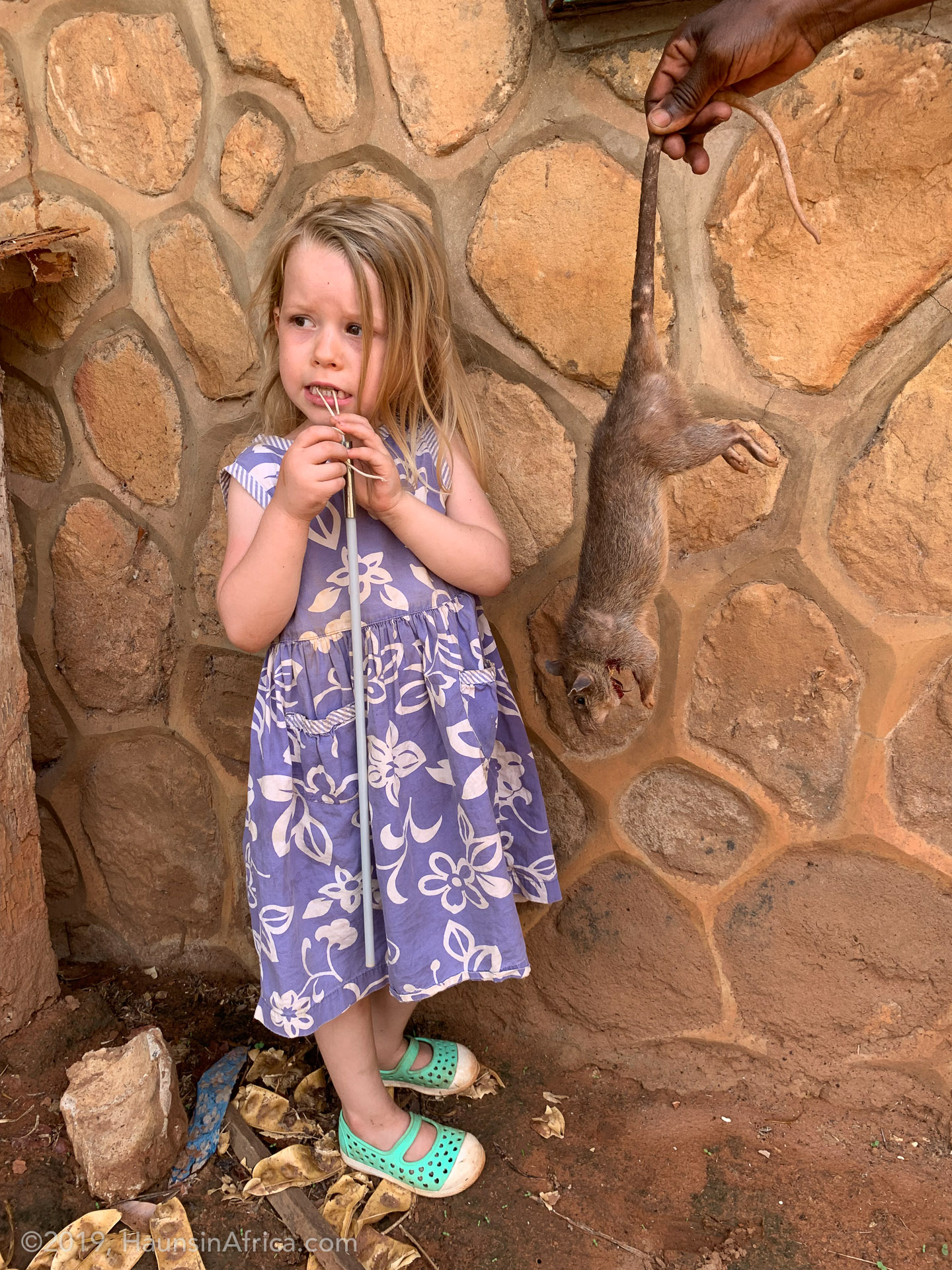 Giant Rat for Dinner - The Hauns in Africa