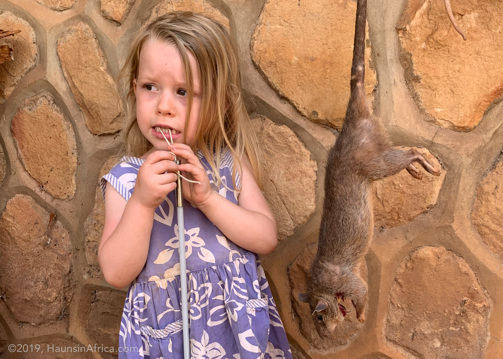 Food Archives - The Hauns in Africa