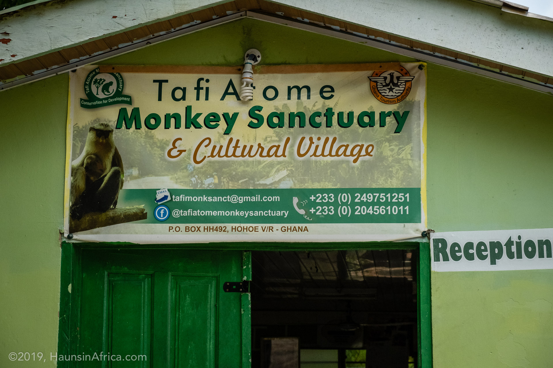 Tafi Atome Monkey Sanctuary - The Hauns in Africa