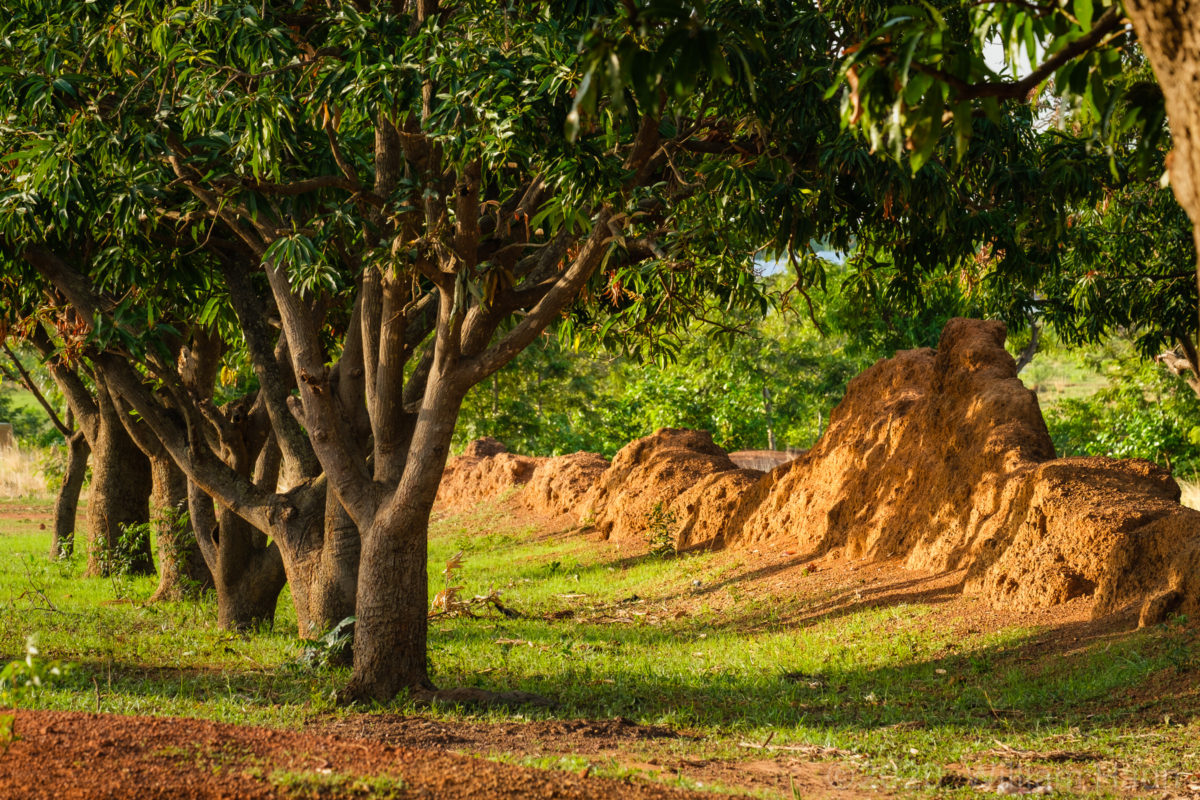 Nalerigu's Historic NaJeringa Wall - The Hauns in Africa