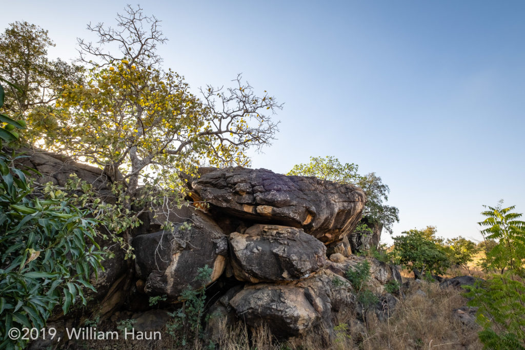 Discover Culture, Nature, and History - Ghana's North East Region