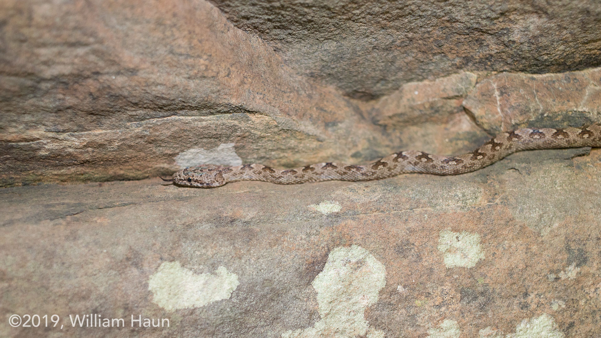 Gambaga Escarpment - Ghana's North East Region